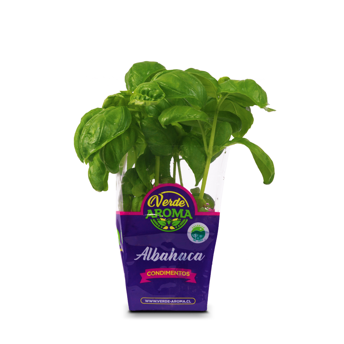 Albahaca - Verde Aroma