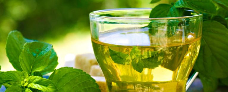 Infusión de Ruda - Verde Aroma